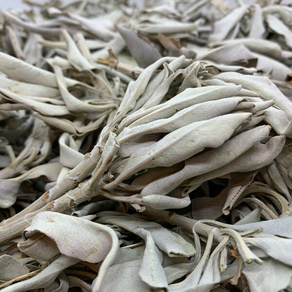 Sage - Etsy