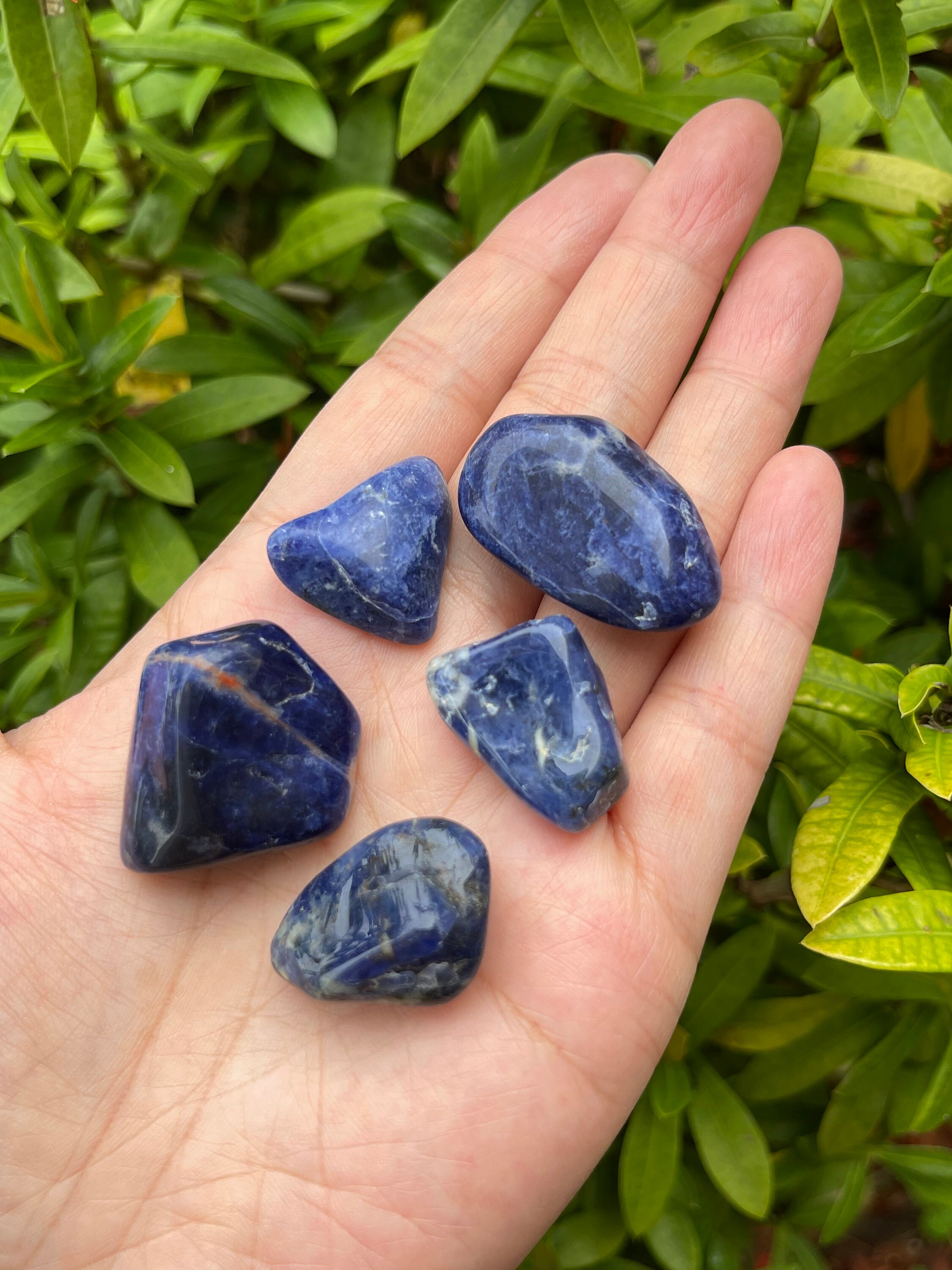 Grade A Sodalite Tumbled Stones 0 75 1 5 Inch Tumbled Etsy grade-a-sodalite-tumbled-stones-0-75-1-5-inch-tumbled-etsy