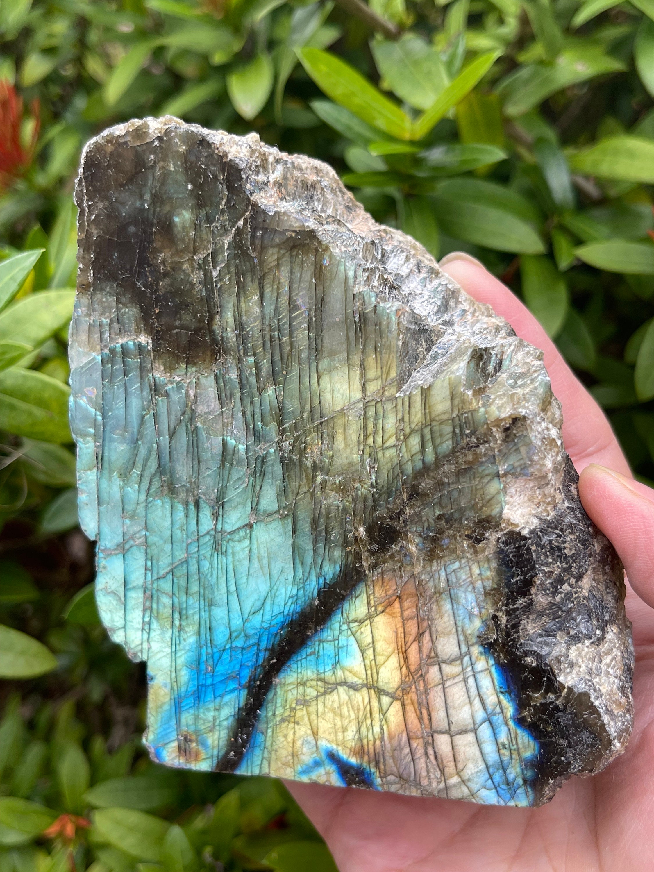 Natural Labradorite Slab High Flash Free Standing Display - Etsy Australia