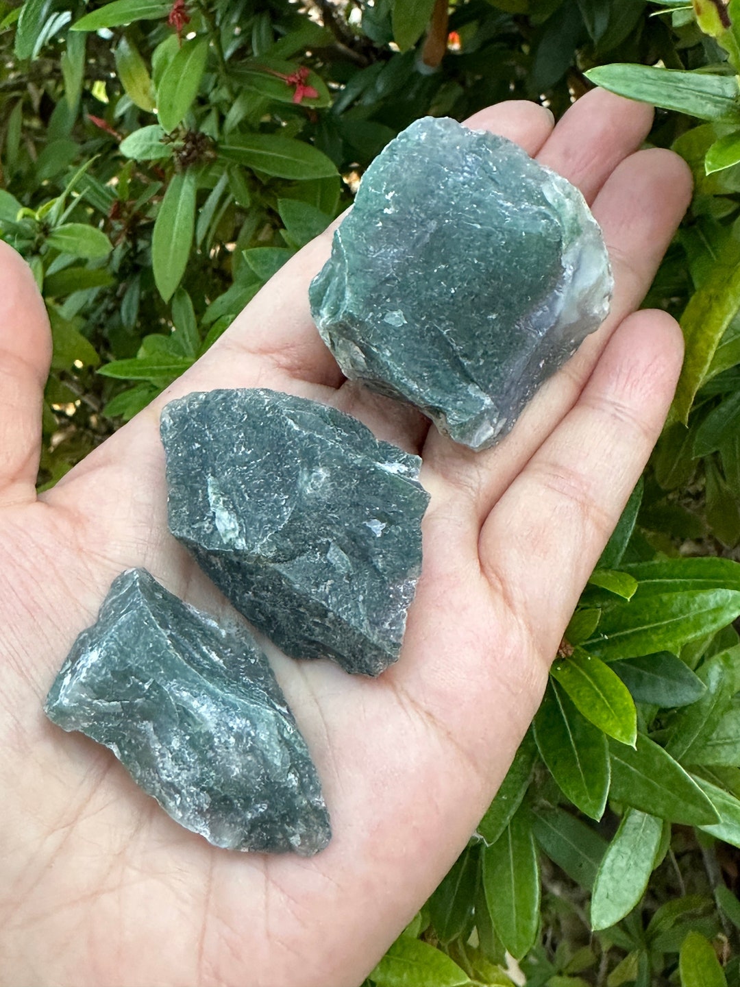 Grade A Tree Agate Raw Natural Stone, Rough Tree Agate Gemstone Raw ...