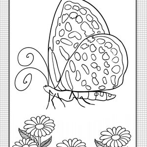 Butterfly Coloring Pages| 30 Pages | Butterfly Coloring Sheet, Coloring ...