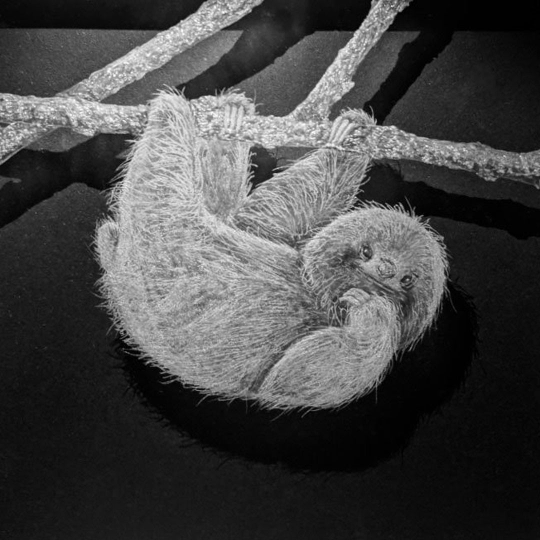 Sloth Hand Engraved Frame - Hang in There Gift - Sloth Gifts - Sloths ...