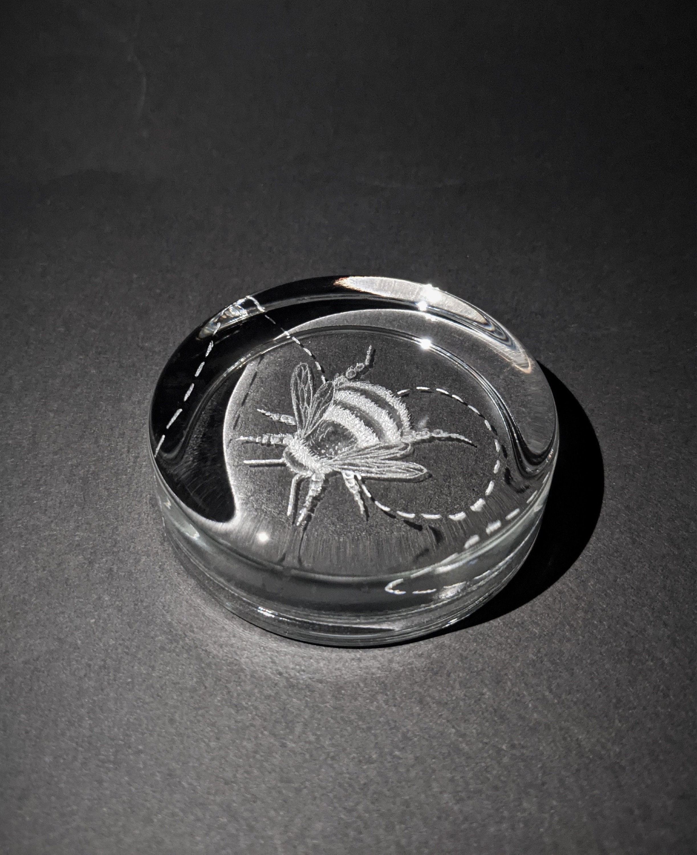 Bee Paperweight Bumble Bee Engraved Paperweight - Etsy