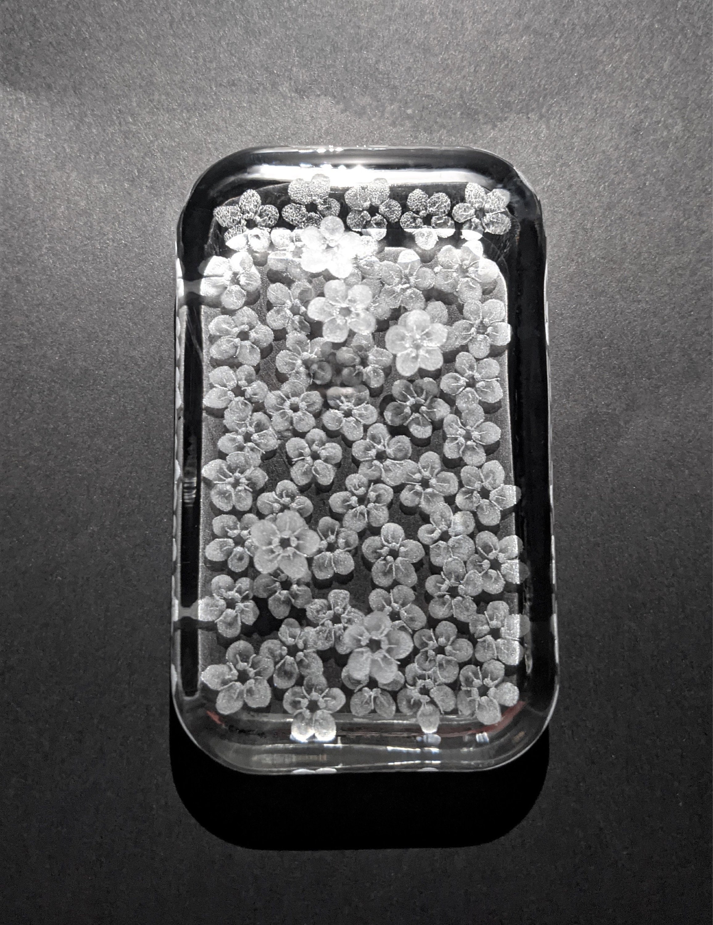 Forget Me Not Paperweight Forget Me Not Flower Paperweight - Etsy