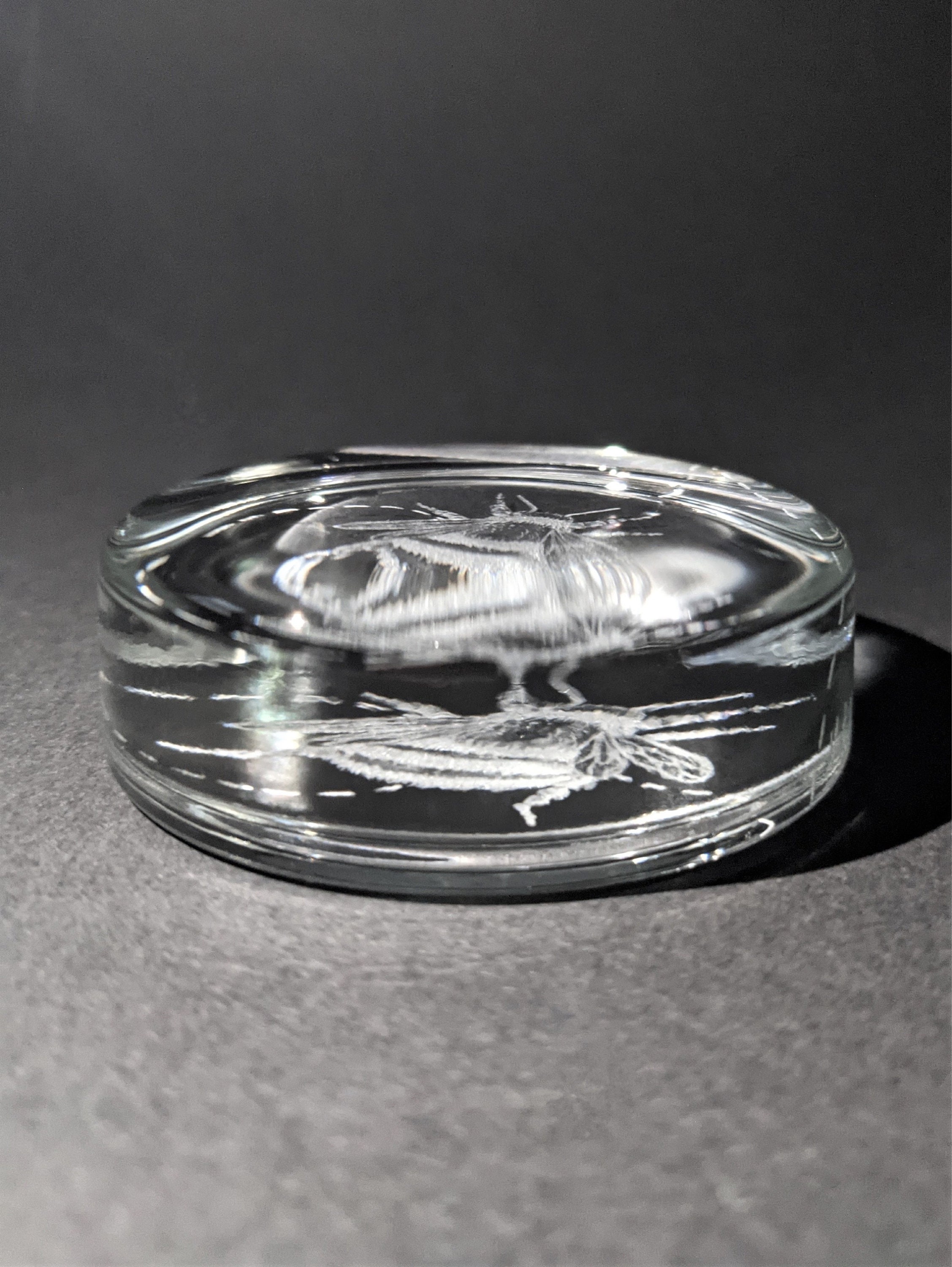 Bee Paperweight Bumble Bee Engraved Paperweight - Etsy