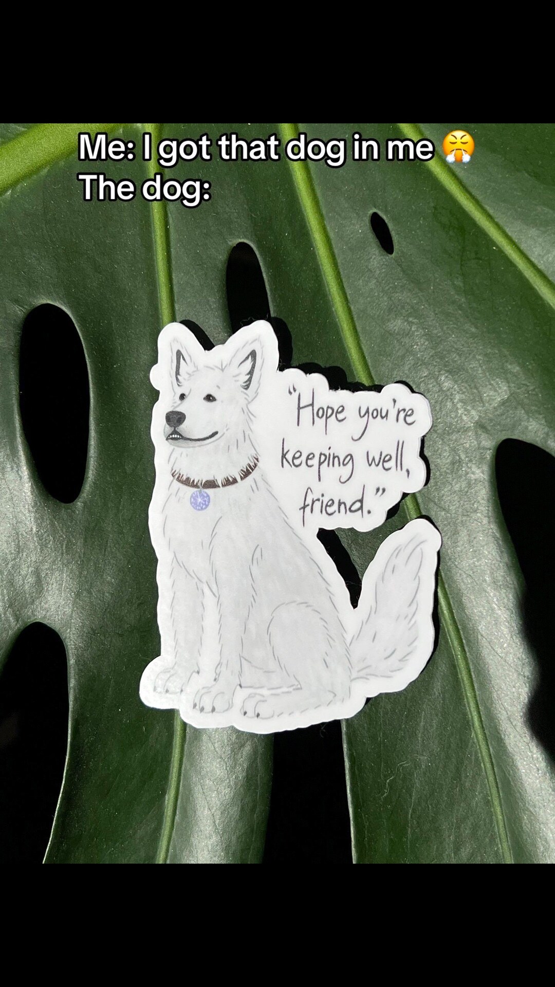 Scratch Dog Sticker - Etsy