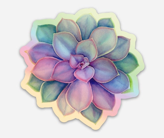 Stickers, Labels & Tags Bumper Stickers Cactus Succulent Vinyl Decal ...
