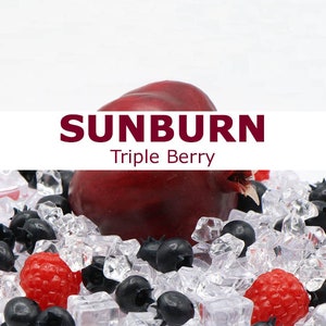 Triple Berry Frozen Slushy Cocktail Drink Mix Flavor Packet Vodka, Rum ...