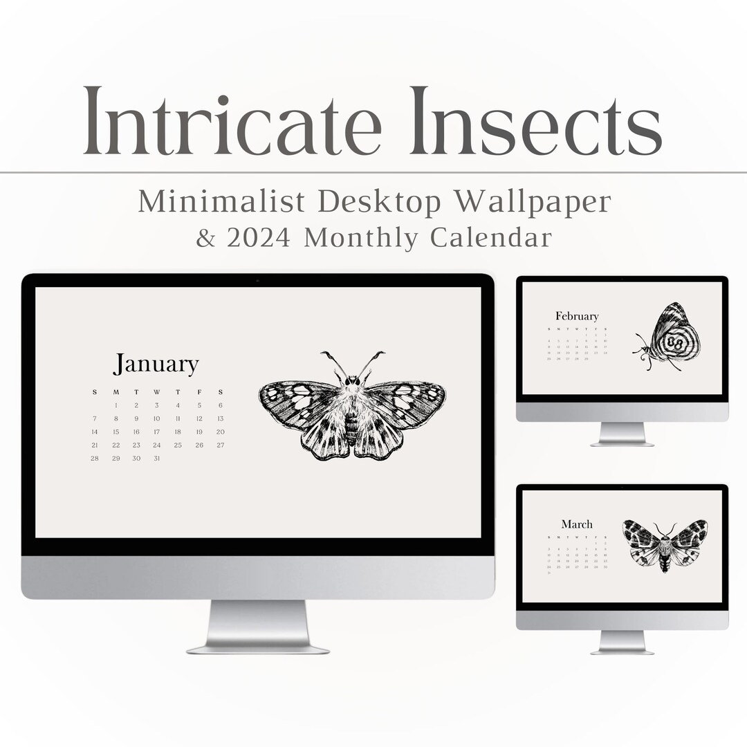 2024 Calendar Desktop Wallpaper, Digital Download, Insects, Entomology ...