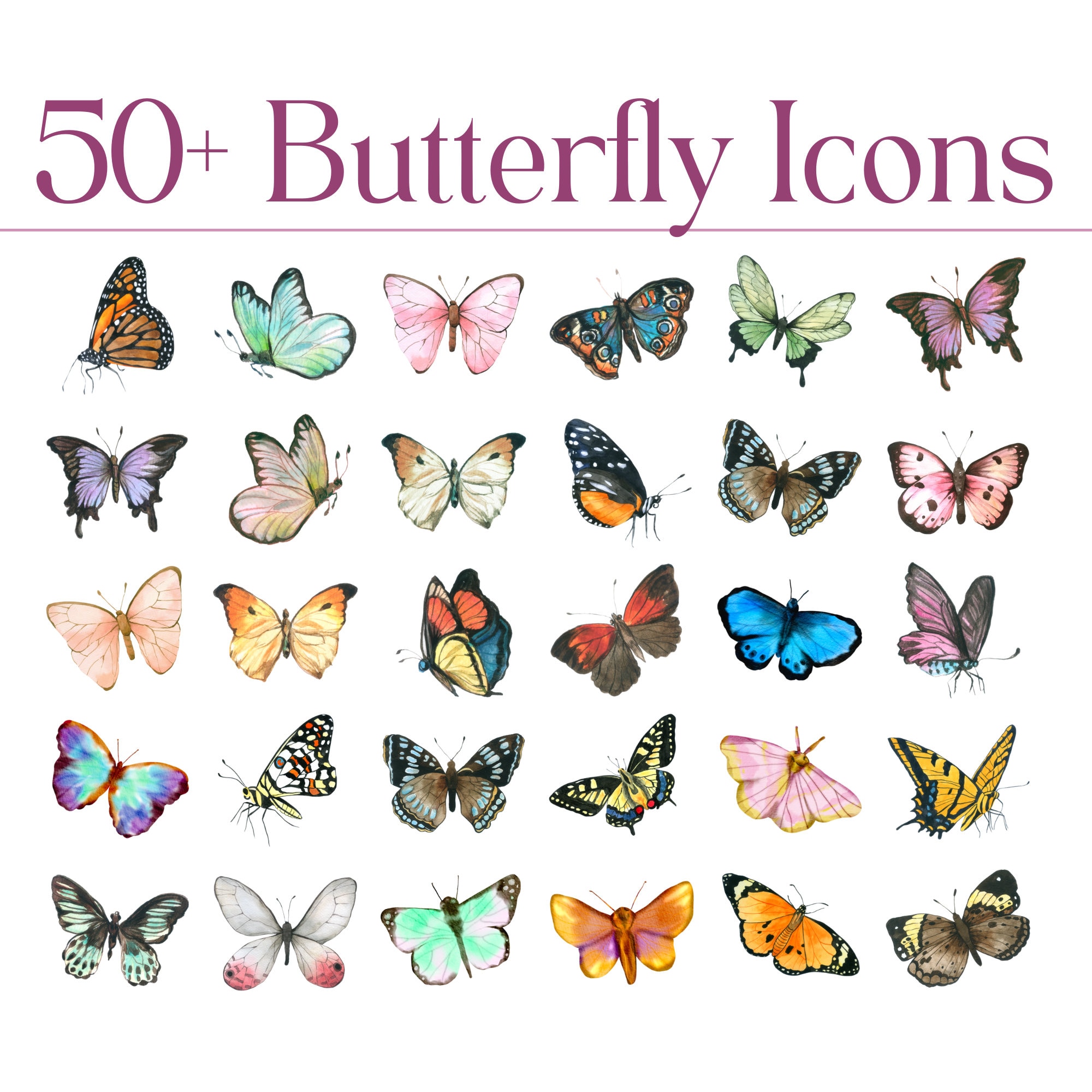 50 Butterfly Icons, File Icons, Folder Icons, Mac, PC, Windows, Notion ...