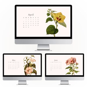 Fancy Florals Desktop Wallpaper 2024 Calendar, Computer Background, PC ...