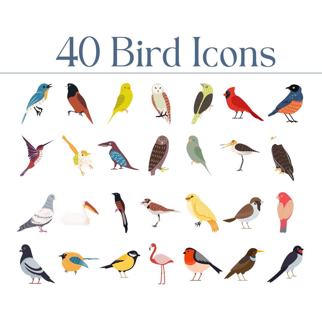 40 Folder Icons for Mac & PC, Bird Icons, Desktop Folder Icons, File ...