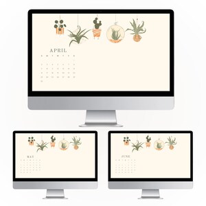 2024 Hanging Plants Calendar Wallpaper, Computer Background, Calendar ...