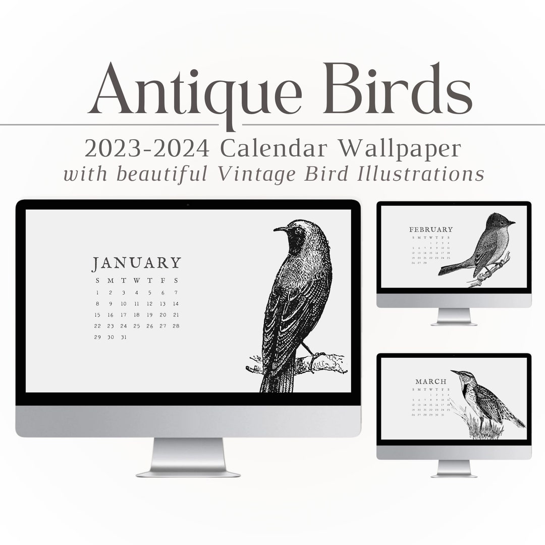 2023-2024 Calendar Wallpaper, Vintage Birds, Desktop, Laptop, Wallpaper ...