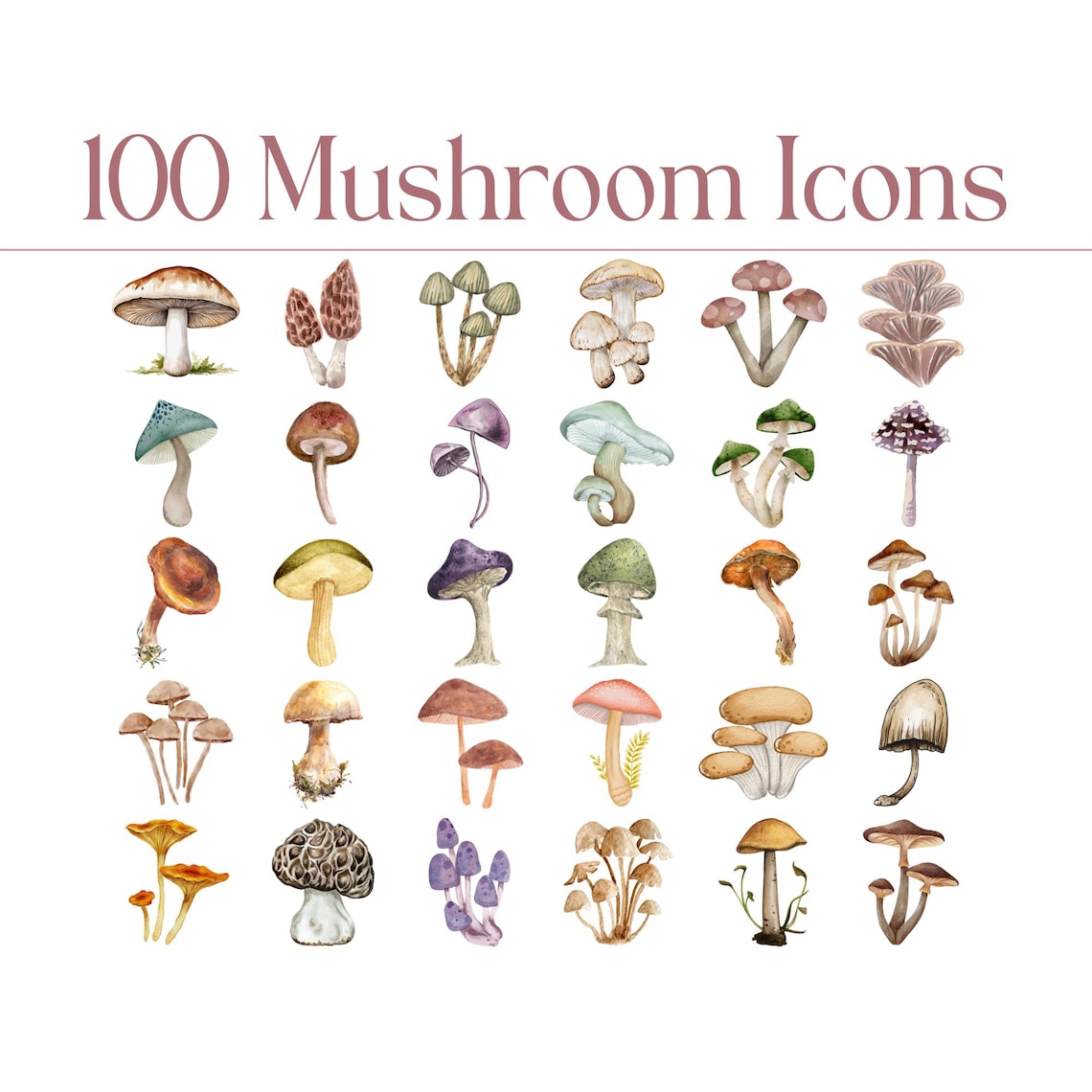 100 Mushroom Icons, Desktop Icons, File Icons, Mac, PC, Folder Icons ...