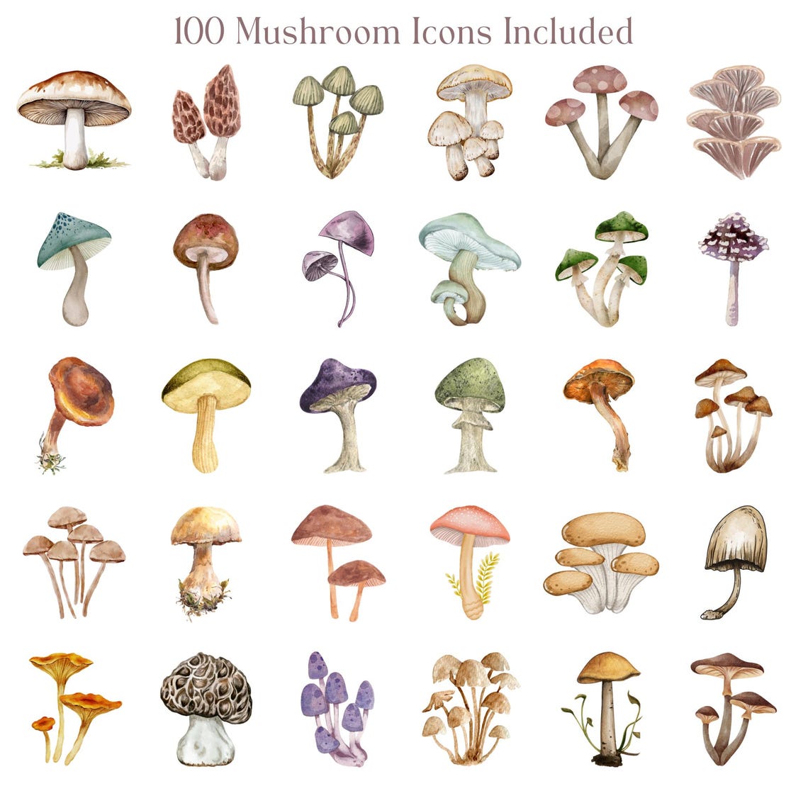 100 Mushroom Icons, Desktop Icons, File Icons, Mac, PC, Folder Icons ...