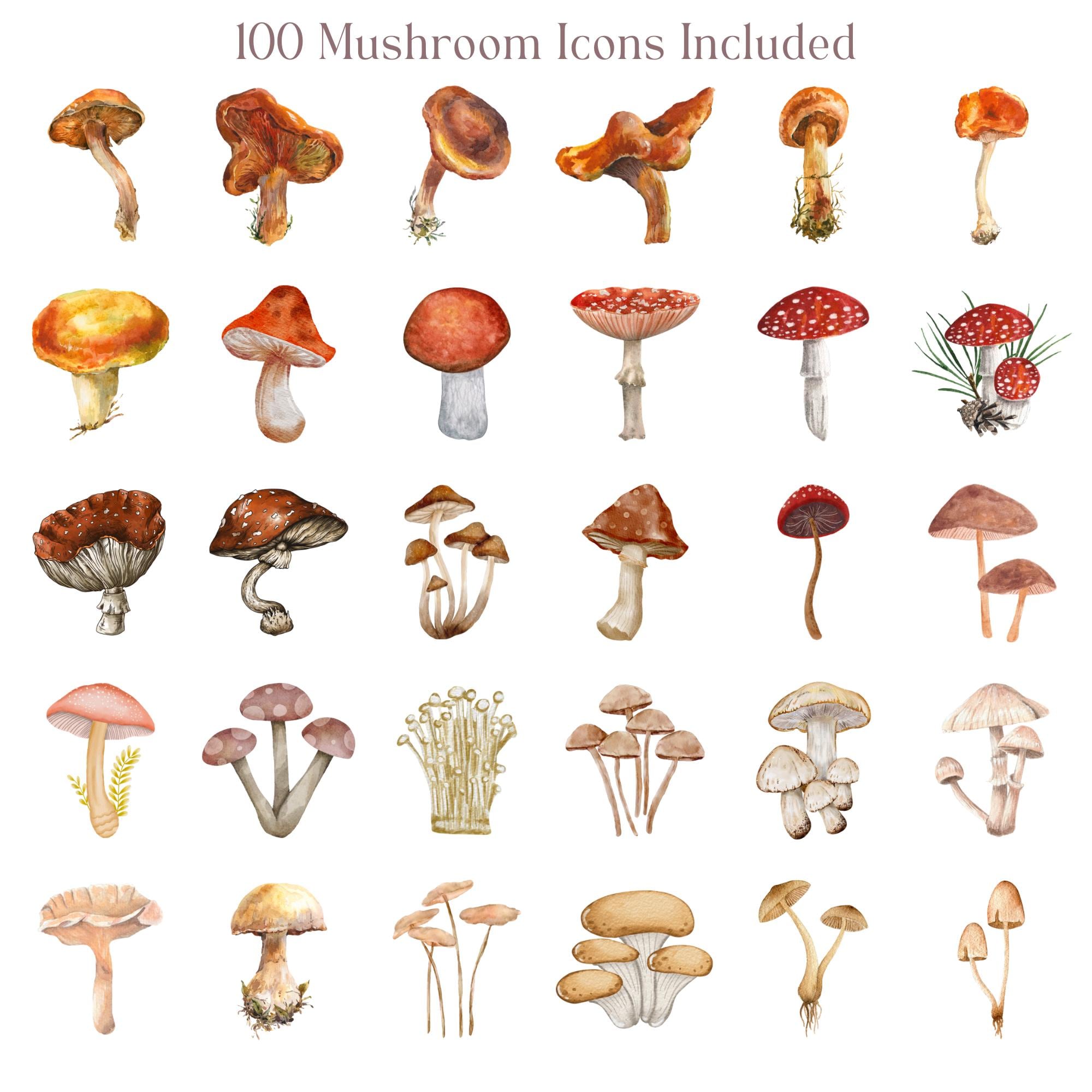 100 Mushroom Icons, Desktop Icons, File Icons, Mac, PC, Folder Icons ...