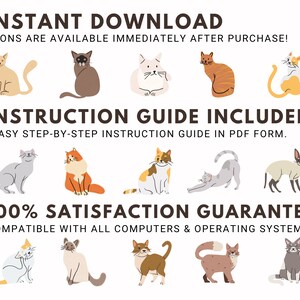 50 Cat Icons for Mac & PC, Folder Icons, File Icons, Mac, PC, Instant ...