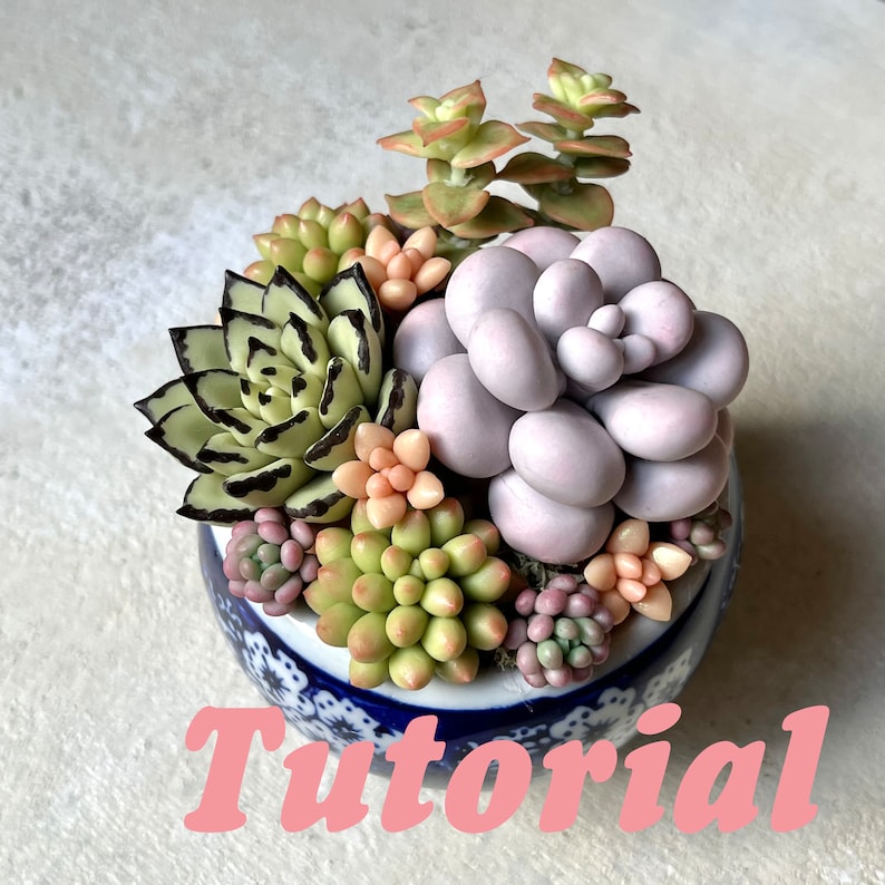 Tutorial for How to Make Clay Succulents Vol2 - Etsy