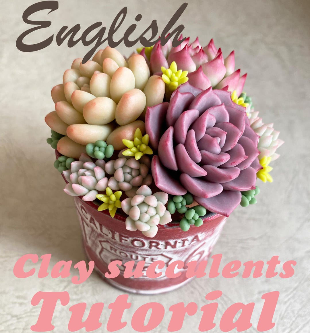 Tutorial for How to Make Clay Succulents Vol1 - Etsy
