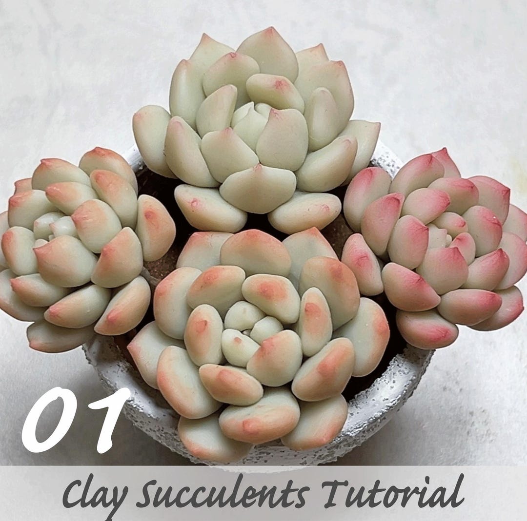 Beginner Clay Succulents Tutorial 01 - Etsy