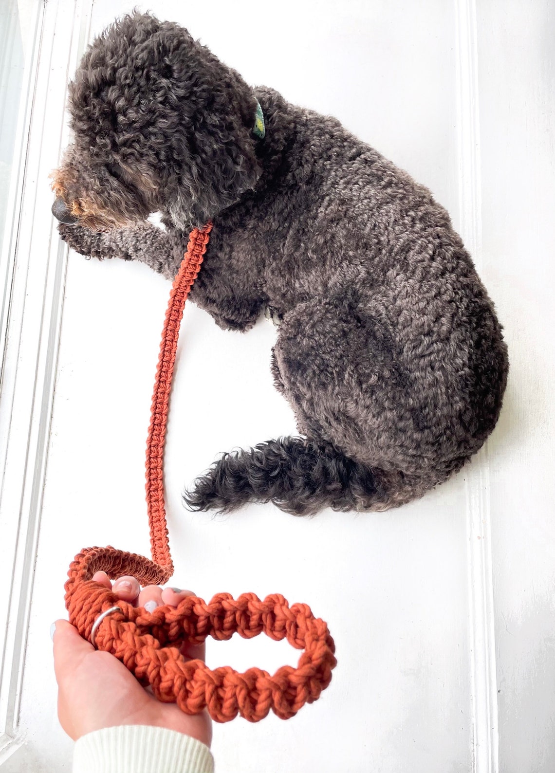 Macramé Dog Leash - Etsy
