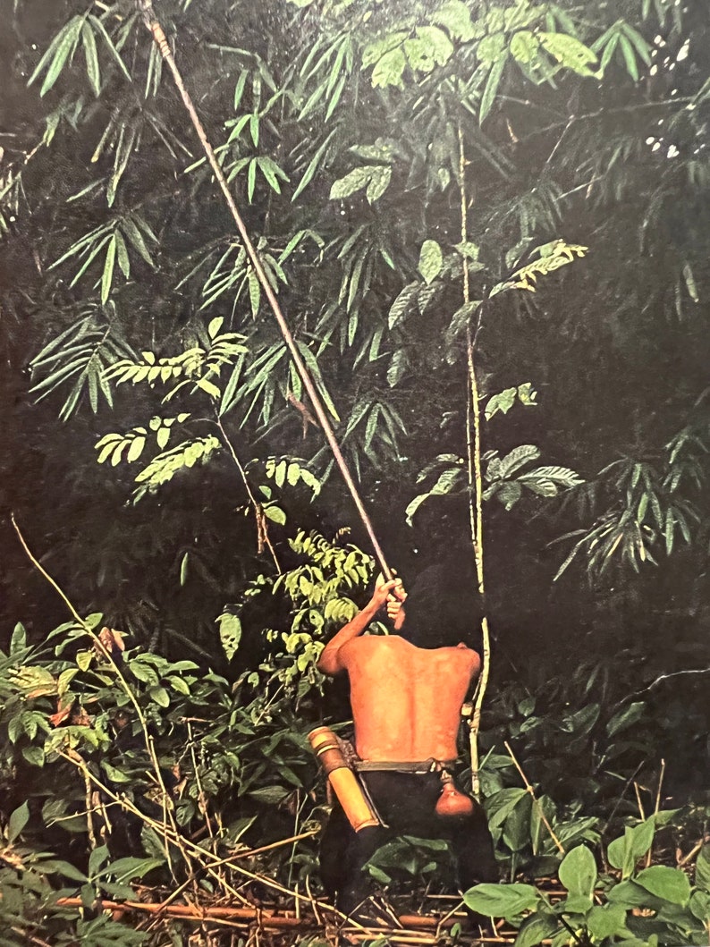 Borneo Head Hunter Bone Carved Dragon Darts/arrow Quiver Container ...