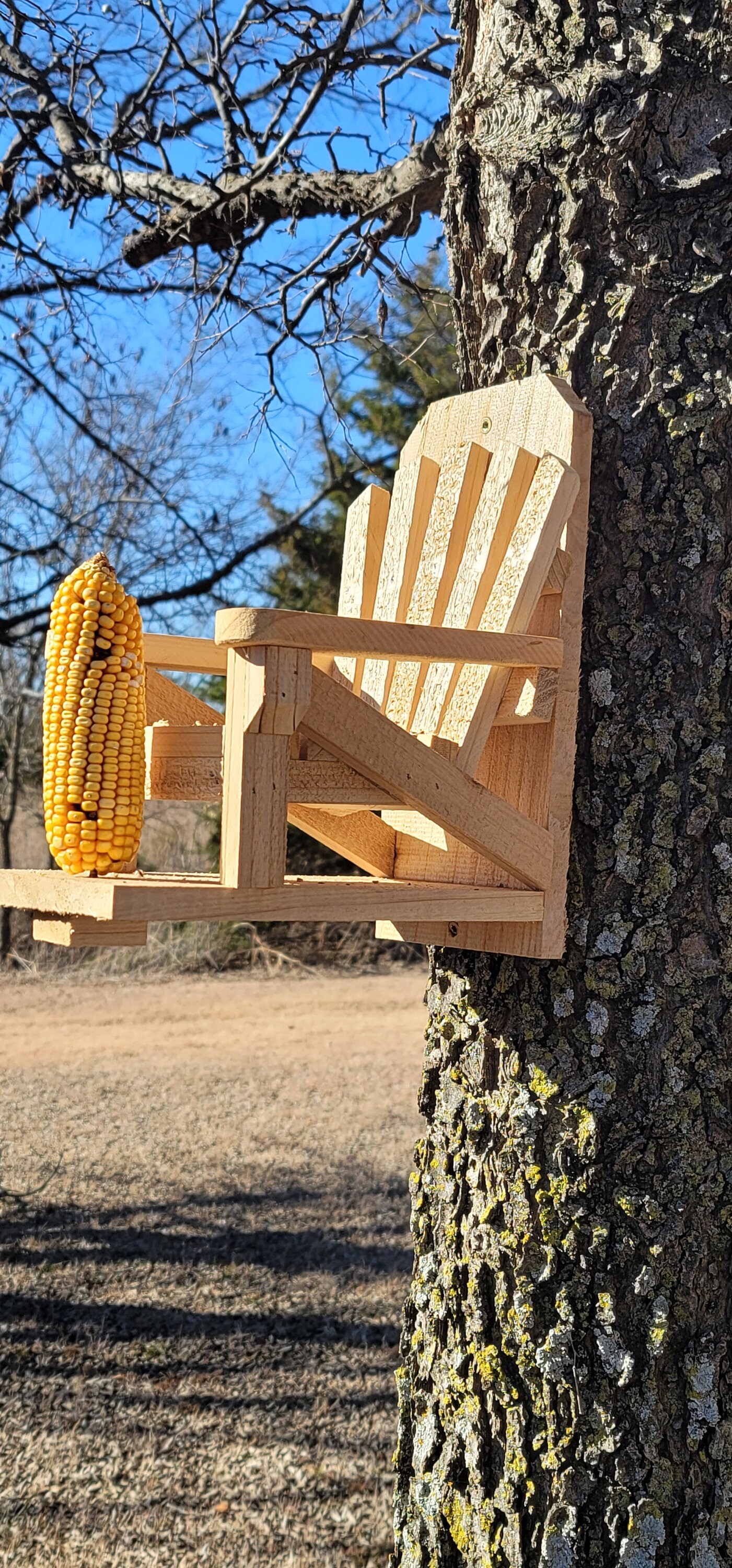 Squirrel Chair Feeder - Etsy