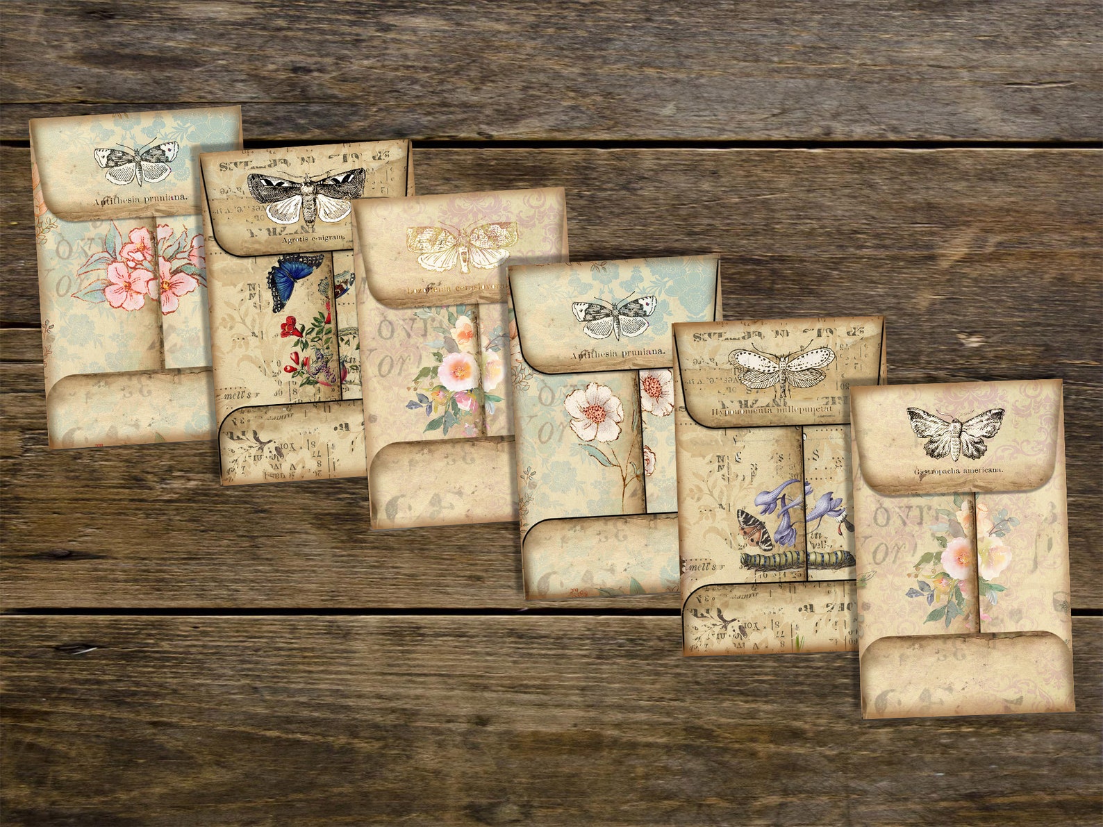 Butterfly Coin Envelopes Ephemera Butterfly Journal Junk - Etsy