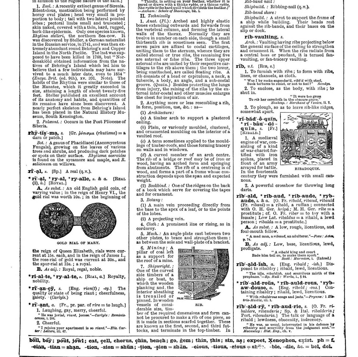 10 Vintage Encyclopedia Book Pages With Illustrations Digital | Etsy