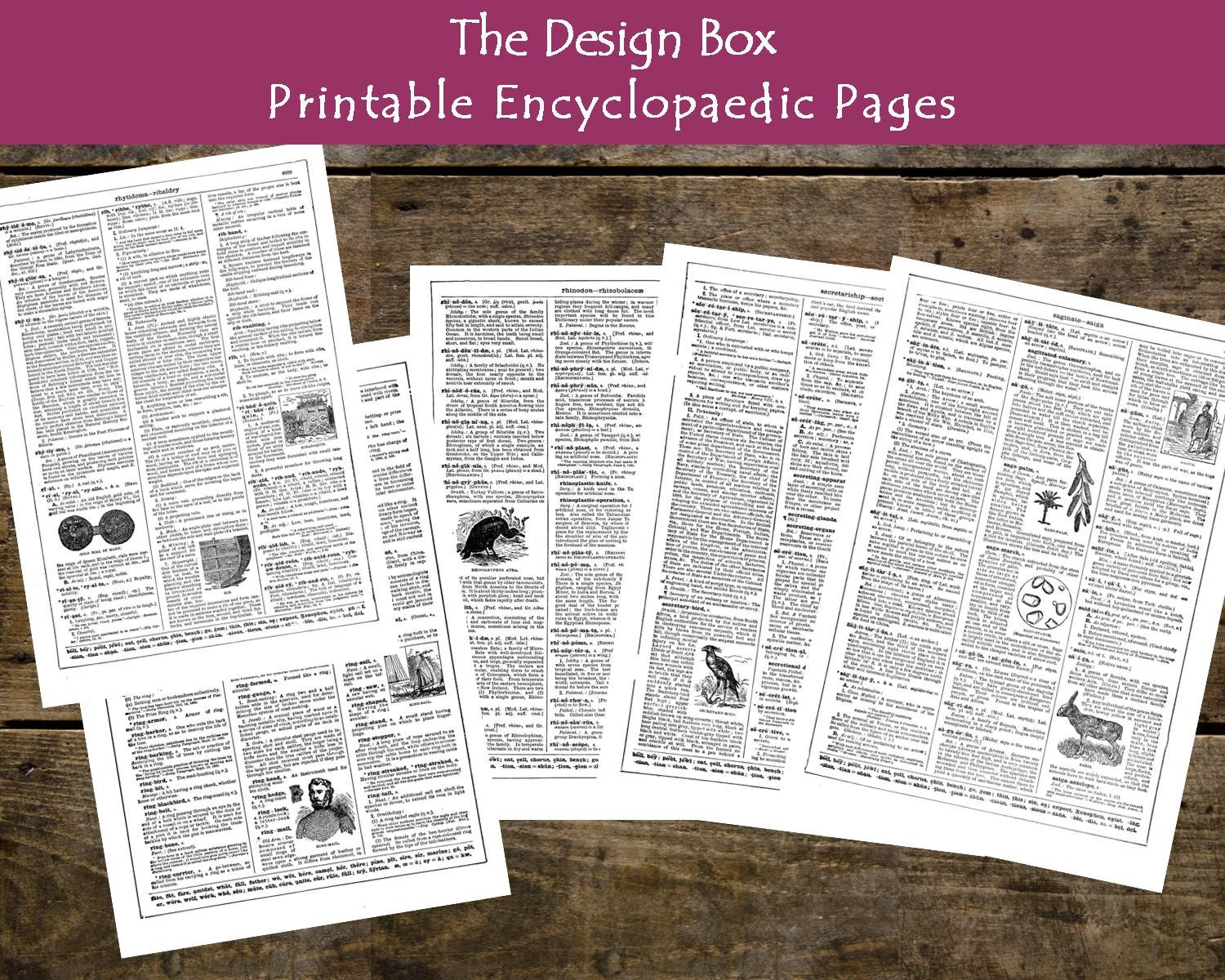 10 Vintage Encyclopedia Book Pages With Illustrations Digital | Etsy