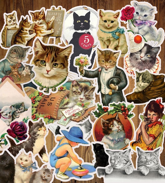 Collage De Gatos Y Gatitos De Wintage
