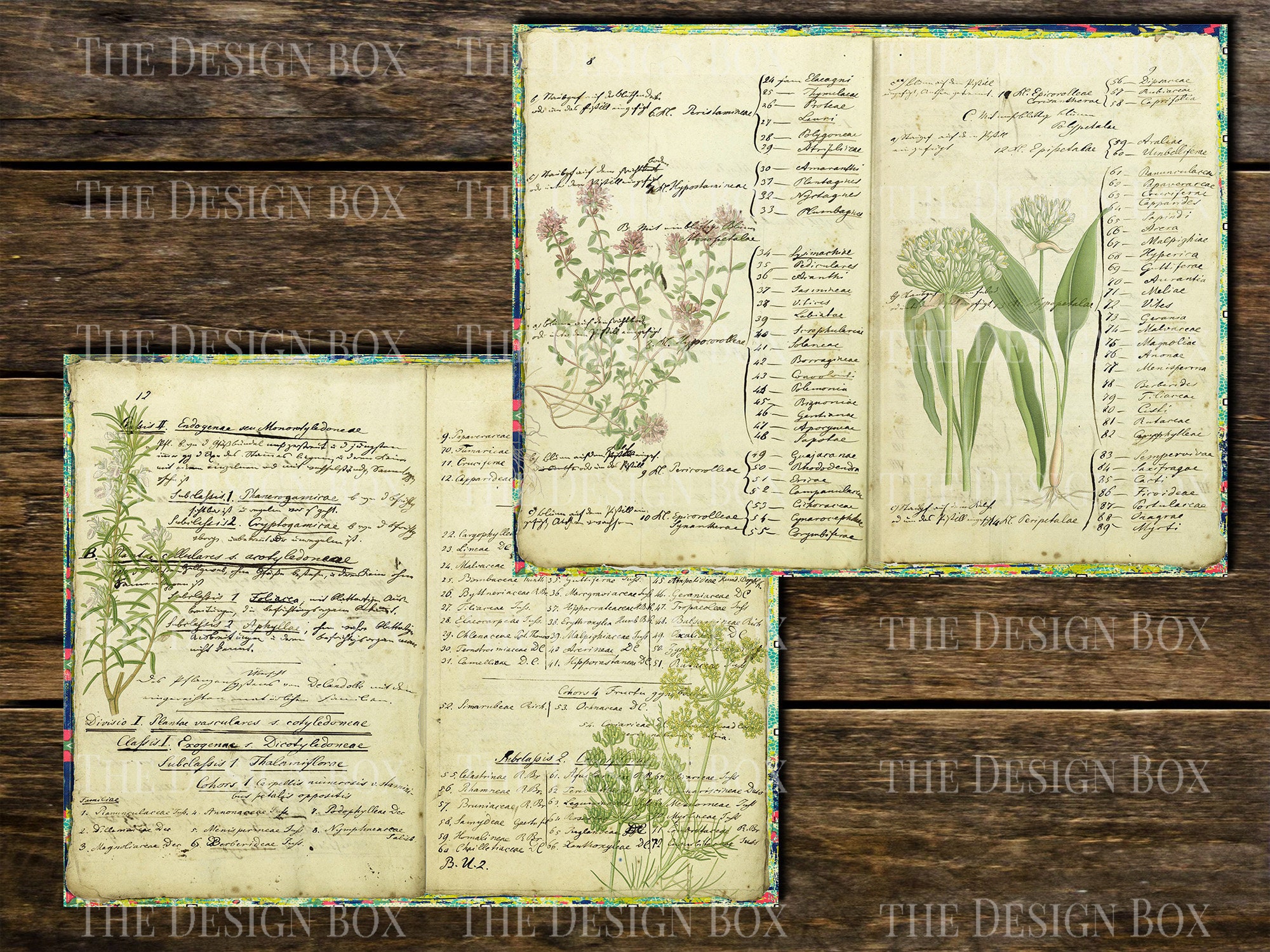 Vintage Botanist's Journal, Botanical Journal, Printable Junk Journal ...