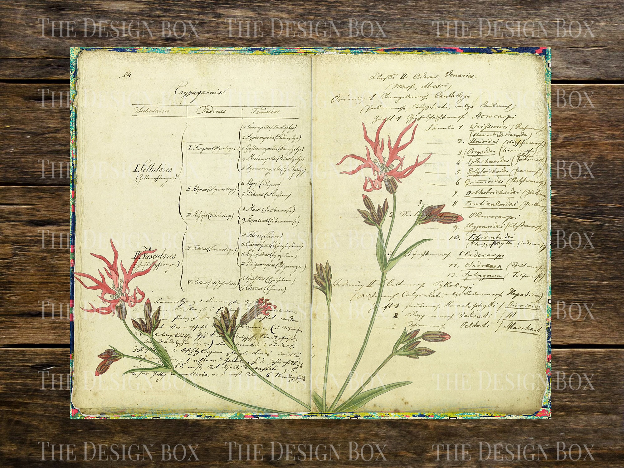 Vintage Botanist's Journal, Botanical Journal, Printable Junk Journal ...