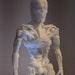 Endoskeleton STL Files 3D Print Model (digital File Download) - Etsy