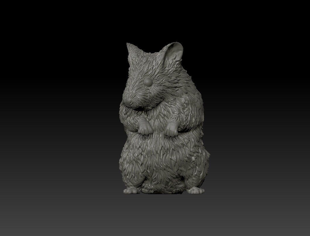 Hamster 3D Printing Model - Etsy