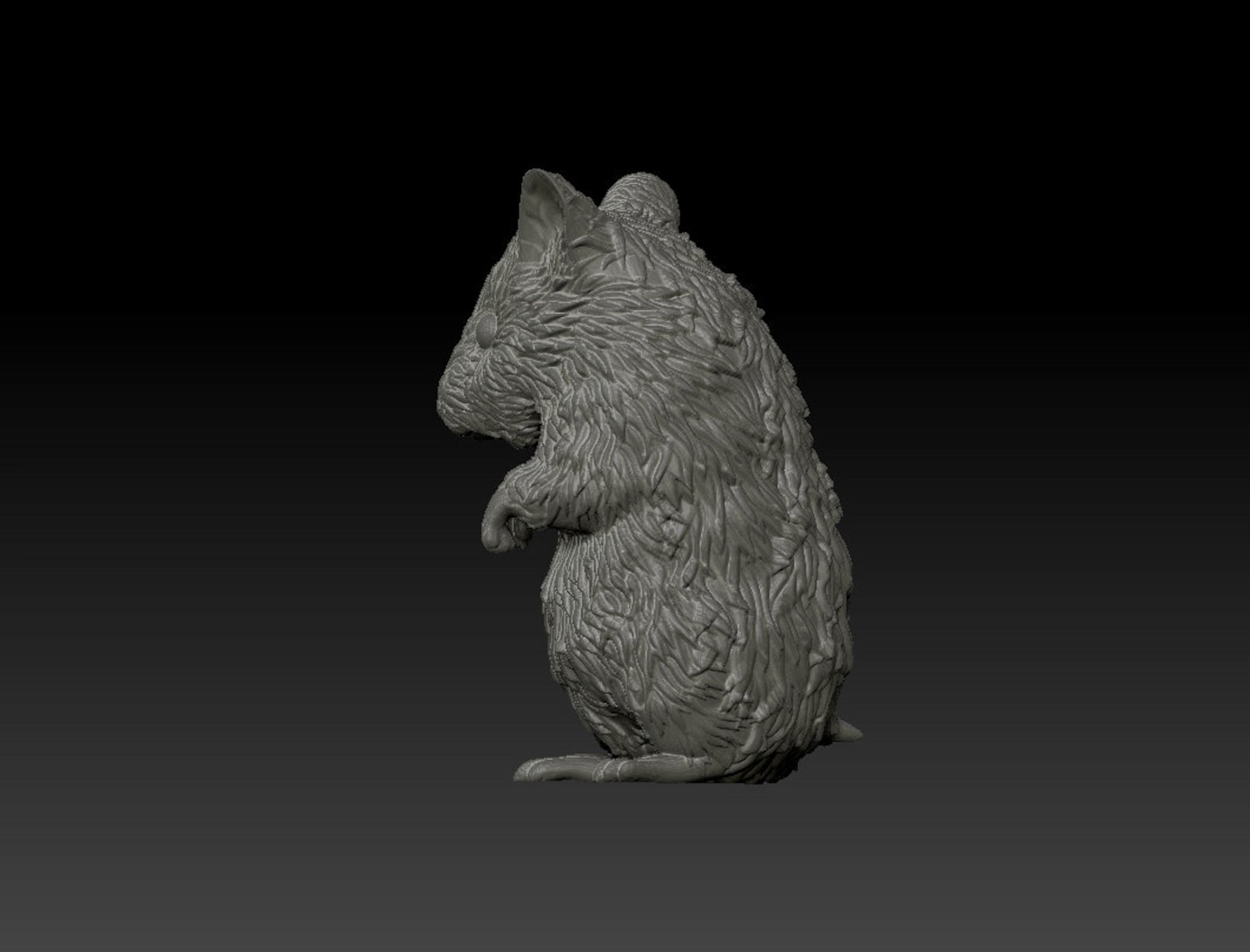 Buy Hamster 3D Printing Model Online in India - Etsy