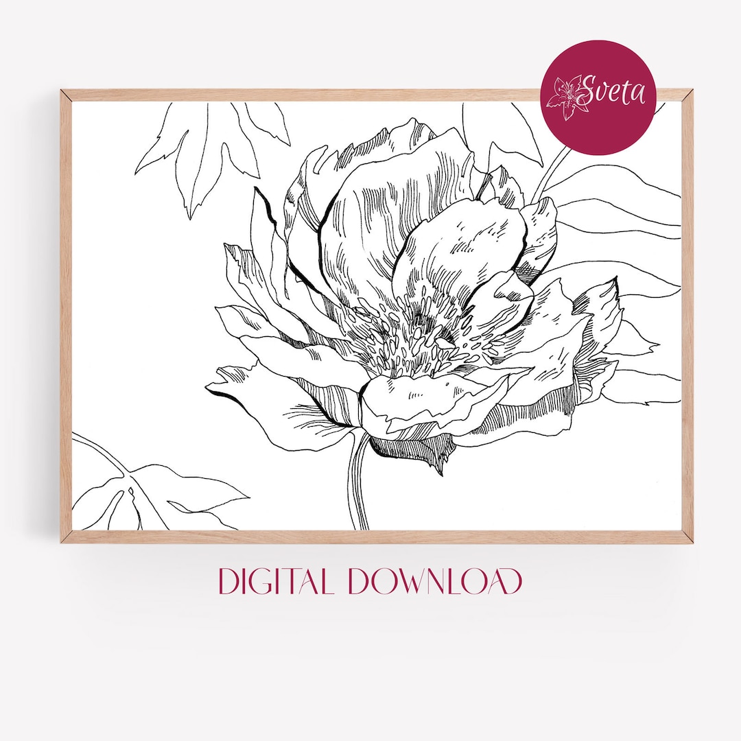 Tree Peony Line Art Print - Minimalist Flower Drawing - Digital ...