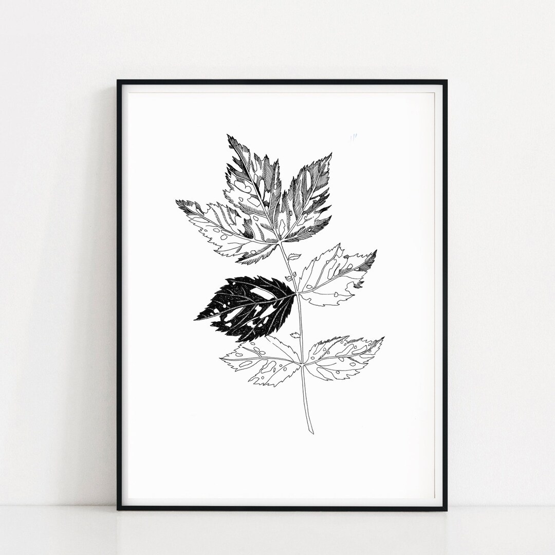Digital Print, Botanical Art Black and White Leaf, Graphic Leaf Art ...