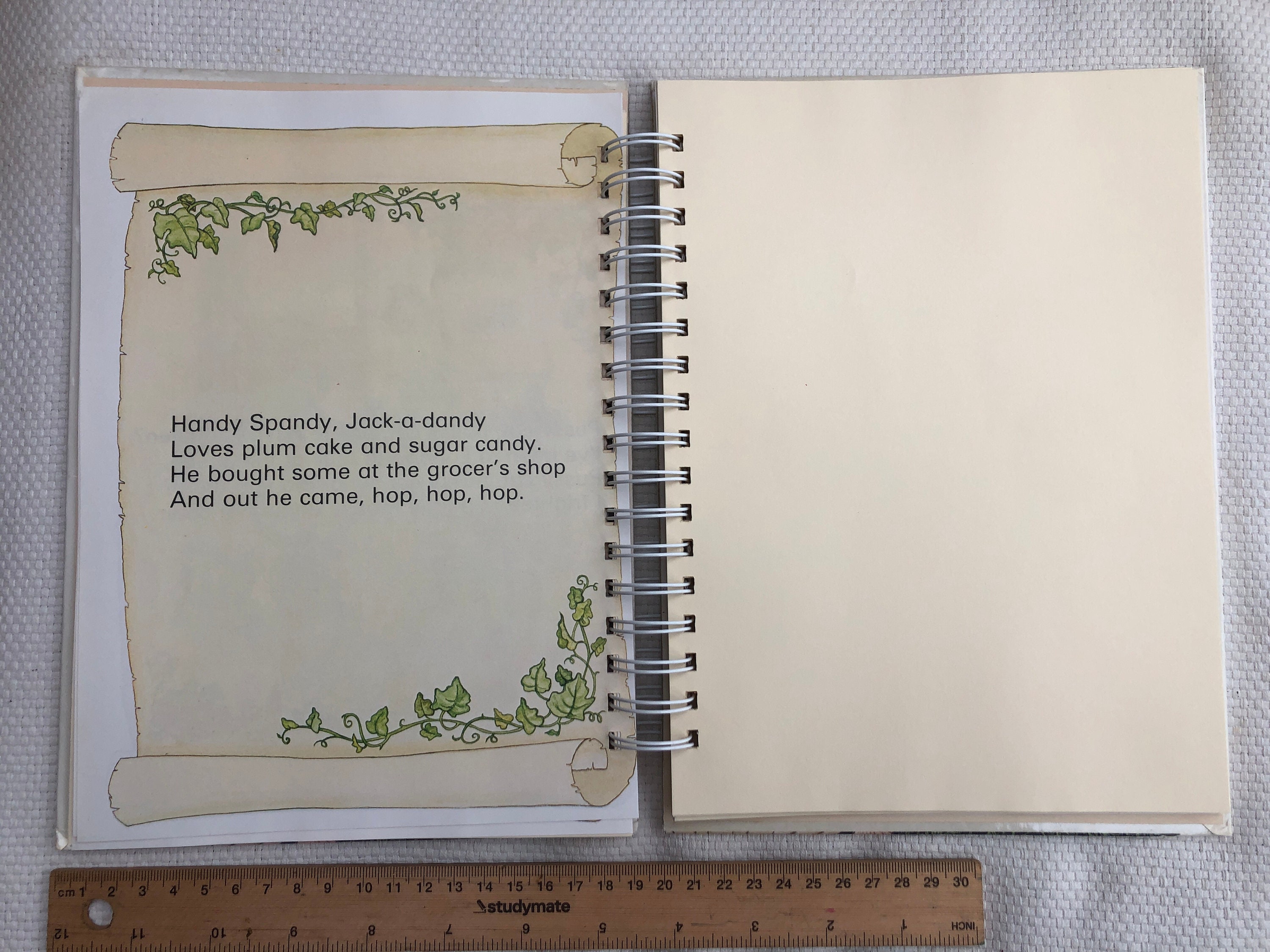 Nursery Rhymes Repurposed Book Journal, Blank Page Notebook, Planner ...