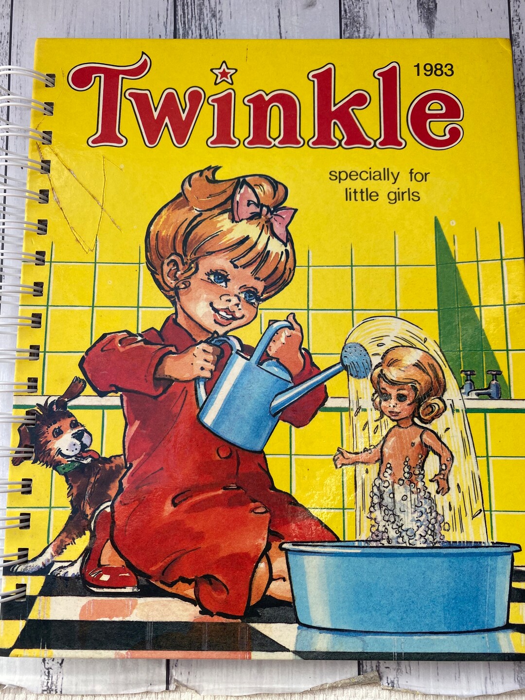 Vintage Twinkle Repurposed Book Journal, White Blank Page Notebook ...