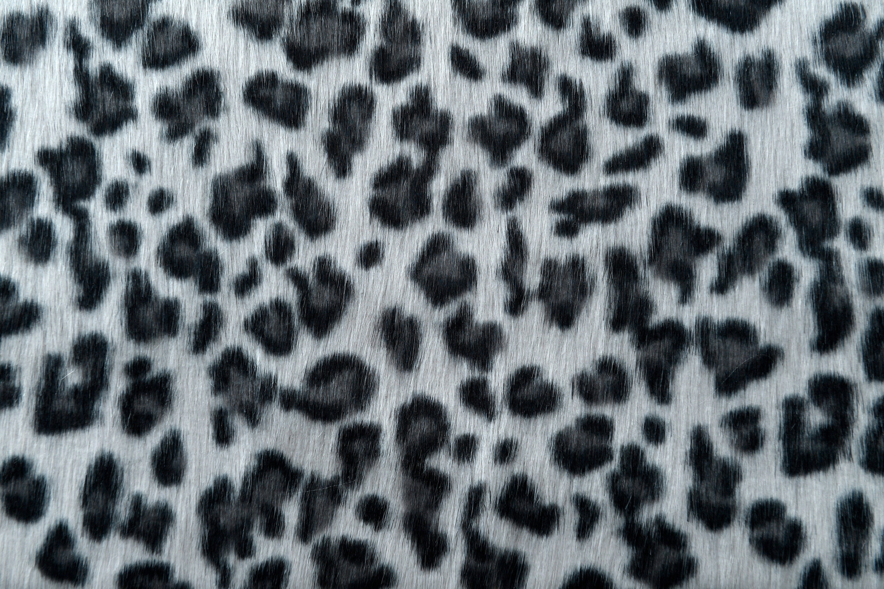 Snow Leopard Fur Print