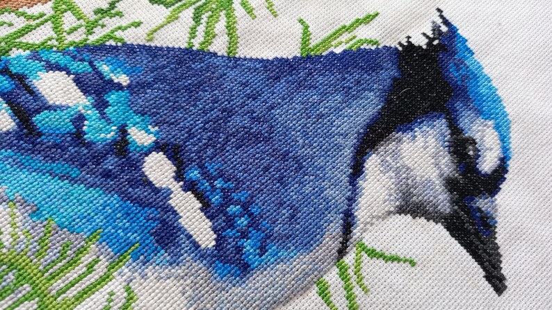 Blue Jay Cross Stitch Pattern, Blue Bird Cross Stitch, Blue Jay ...