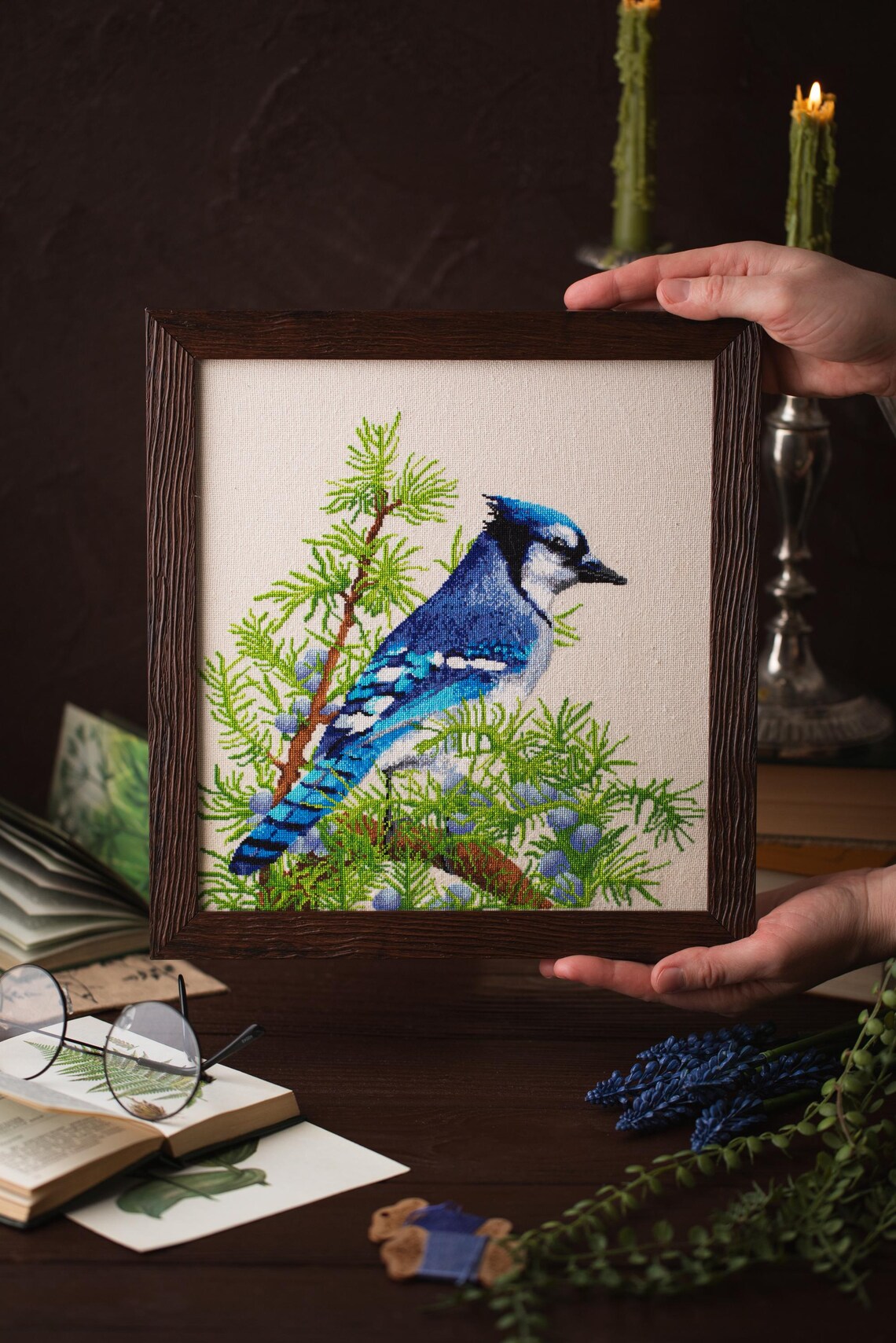 Blue Jay Embroidery Kit, Advanced Cross Stitch Pattern, 40 Pages of ...