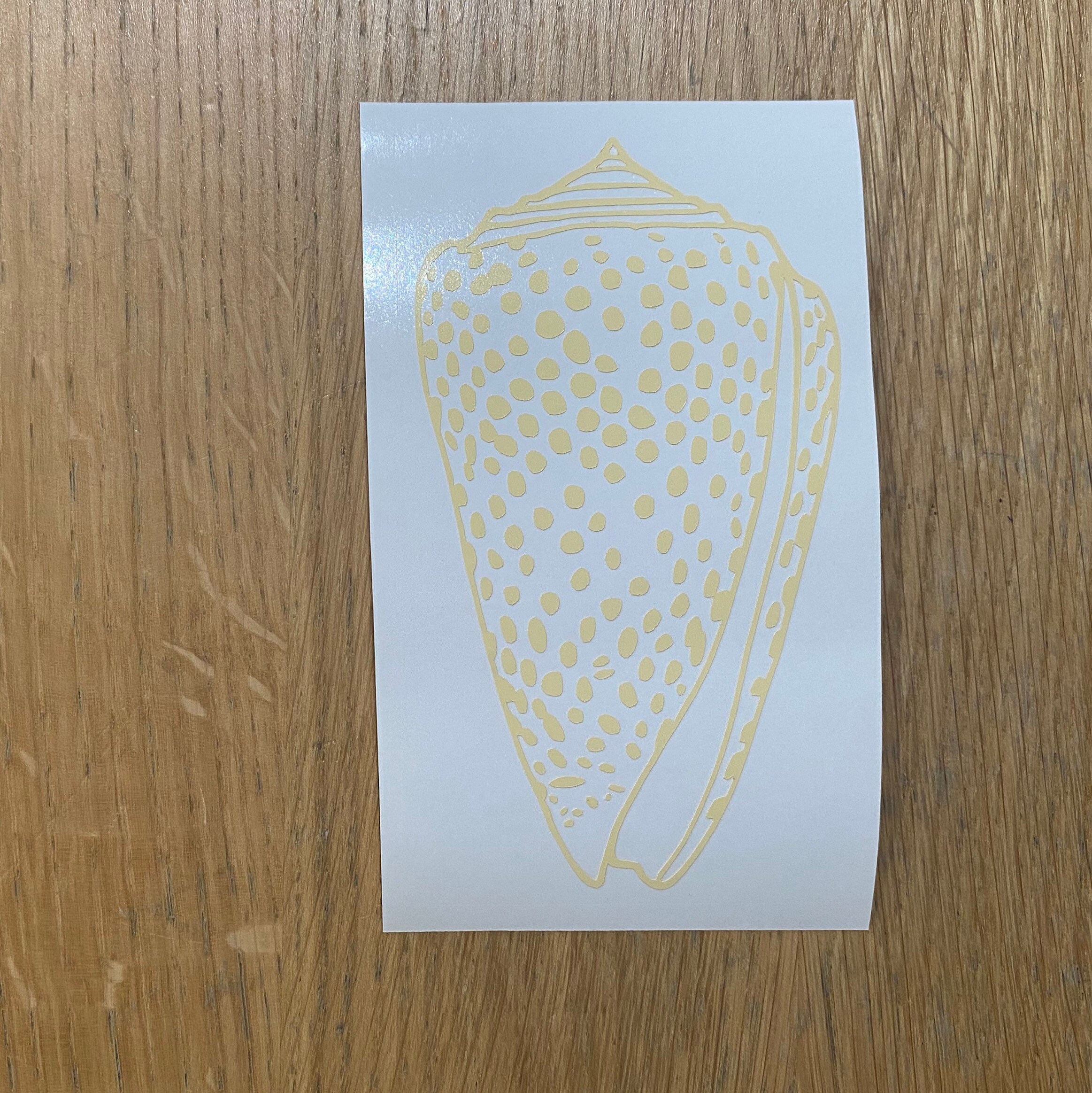 Flea Cone Shell Vinyl Decal Sticker Ocean Beach Coastal | Etsy