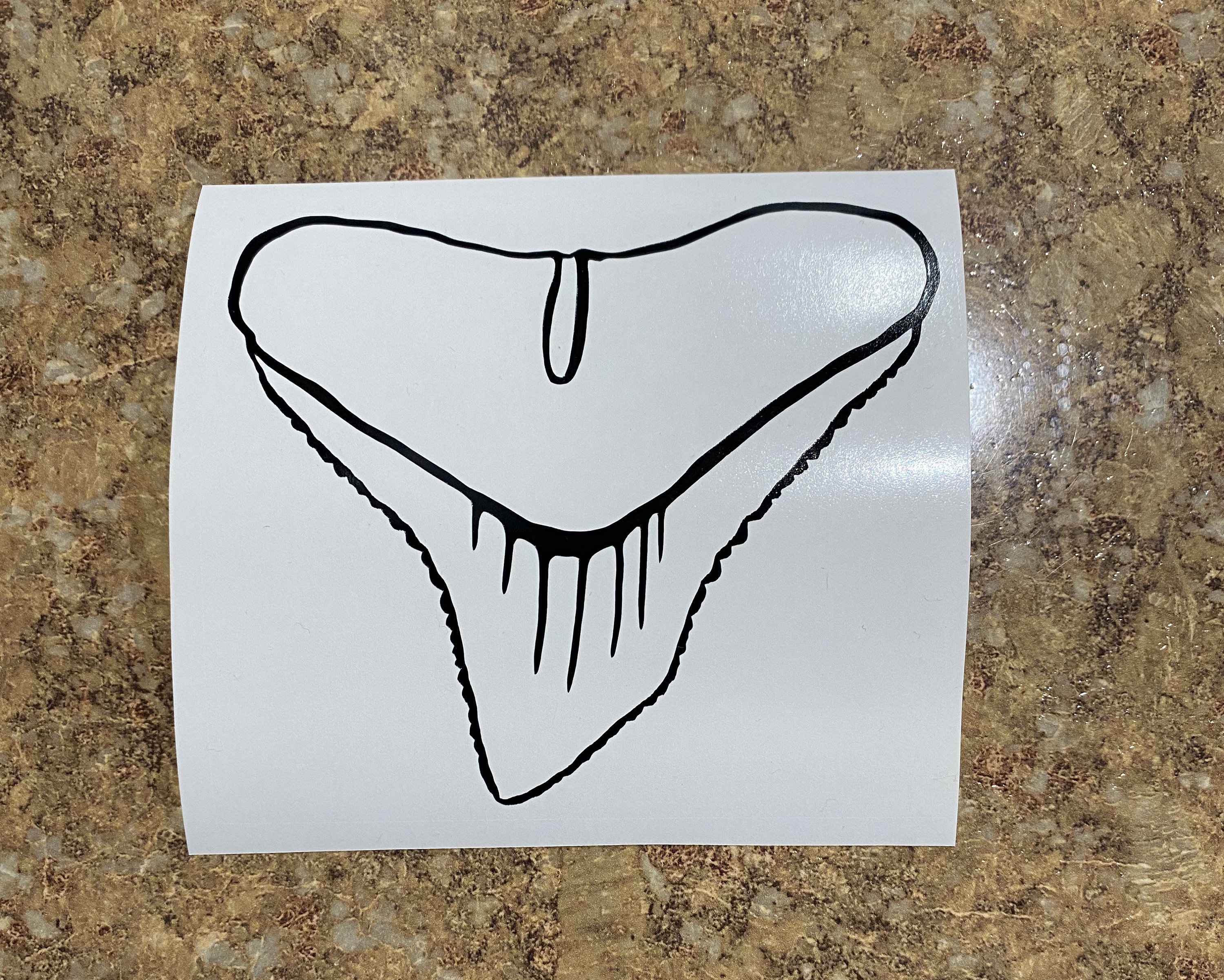 Shark Tooth Outline