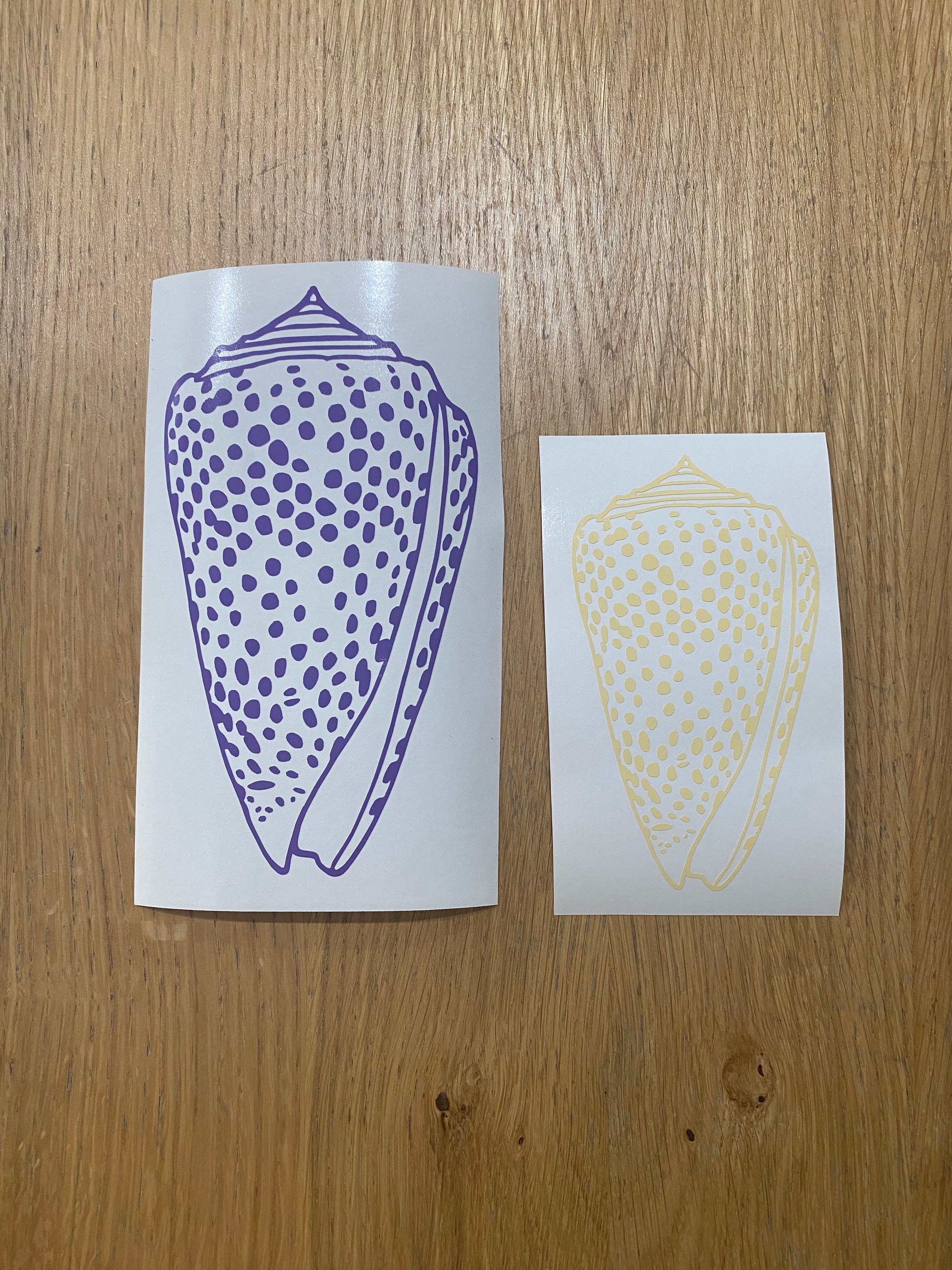 Flea Cone Shell Vinyl Decal Sticker Ocean Beach Coastal | Etsy