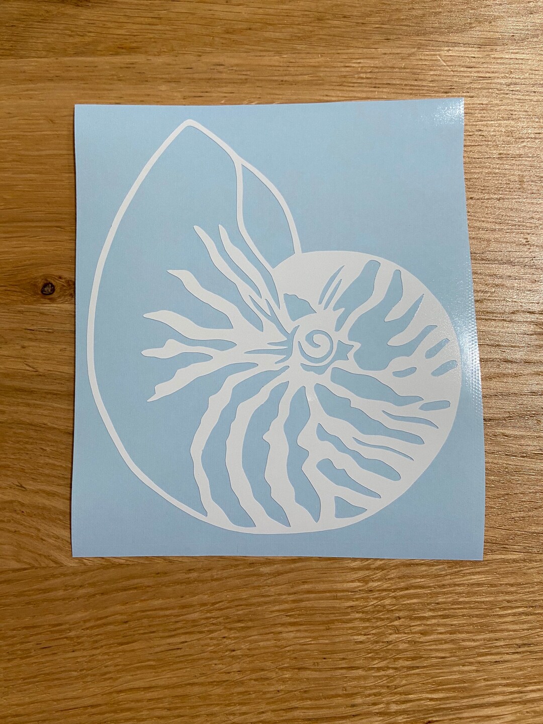Nautilus Shell Vinyl Sticker Decal, Ocean Beach Coastal Seashell ...