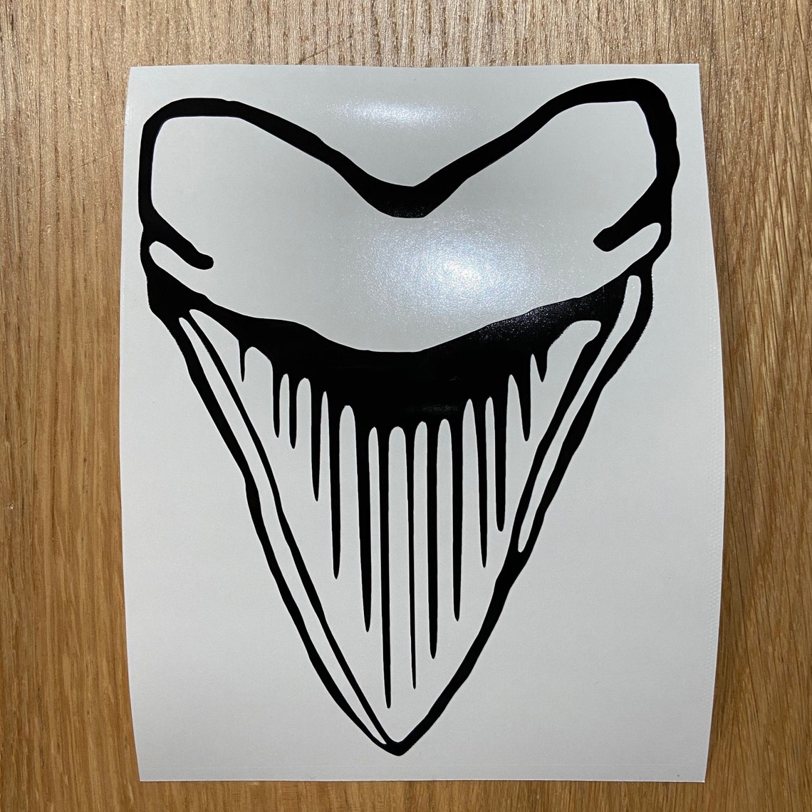 Megalodon Shark Tooth Vinyl Decal Sticker Ocean Beach Costal | Etsy