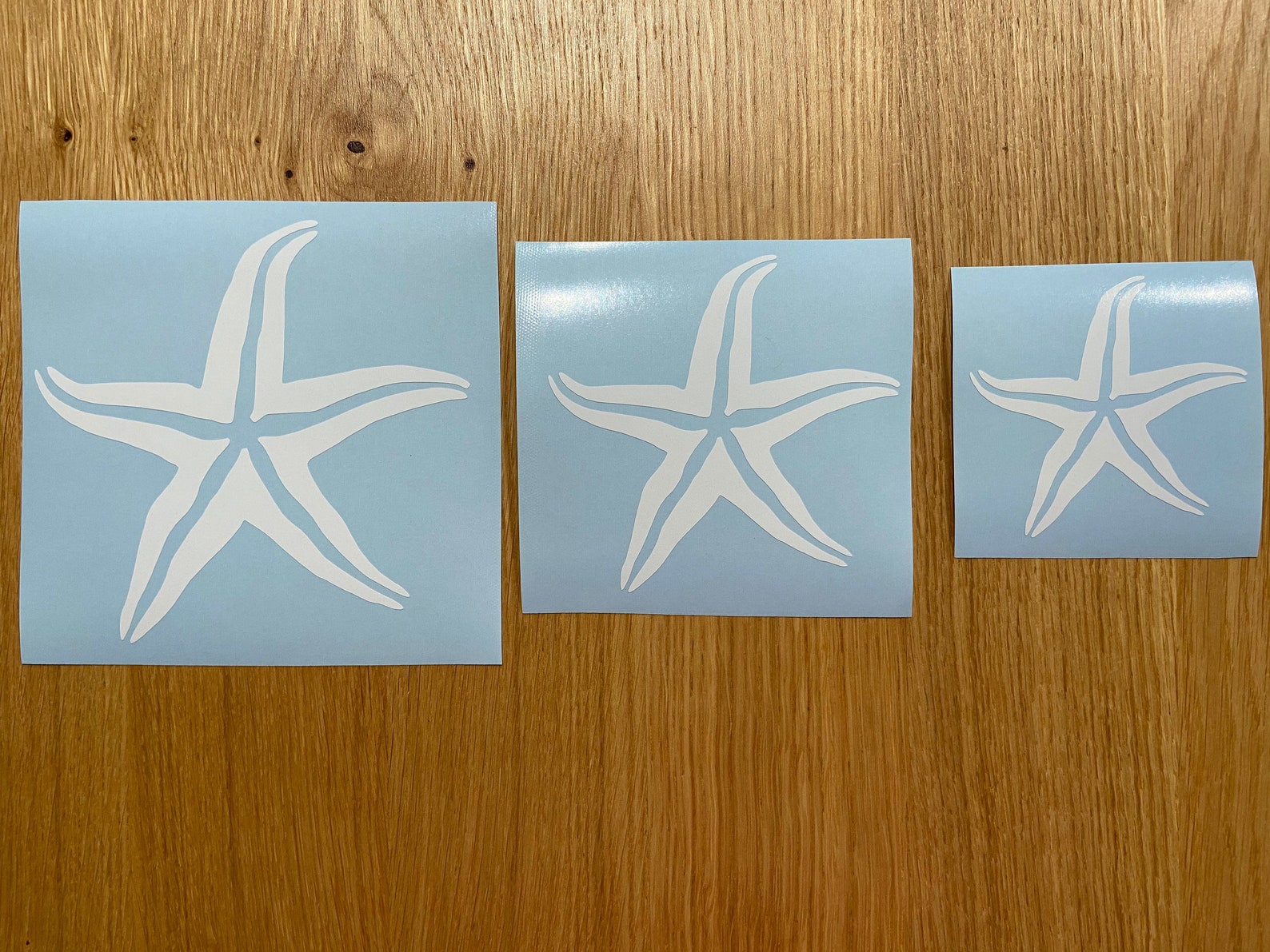 Starfish Vinyl Decal Sticker Sea Star Ocean Beach Coastal - Etsy